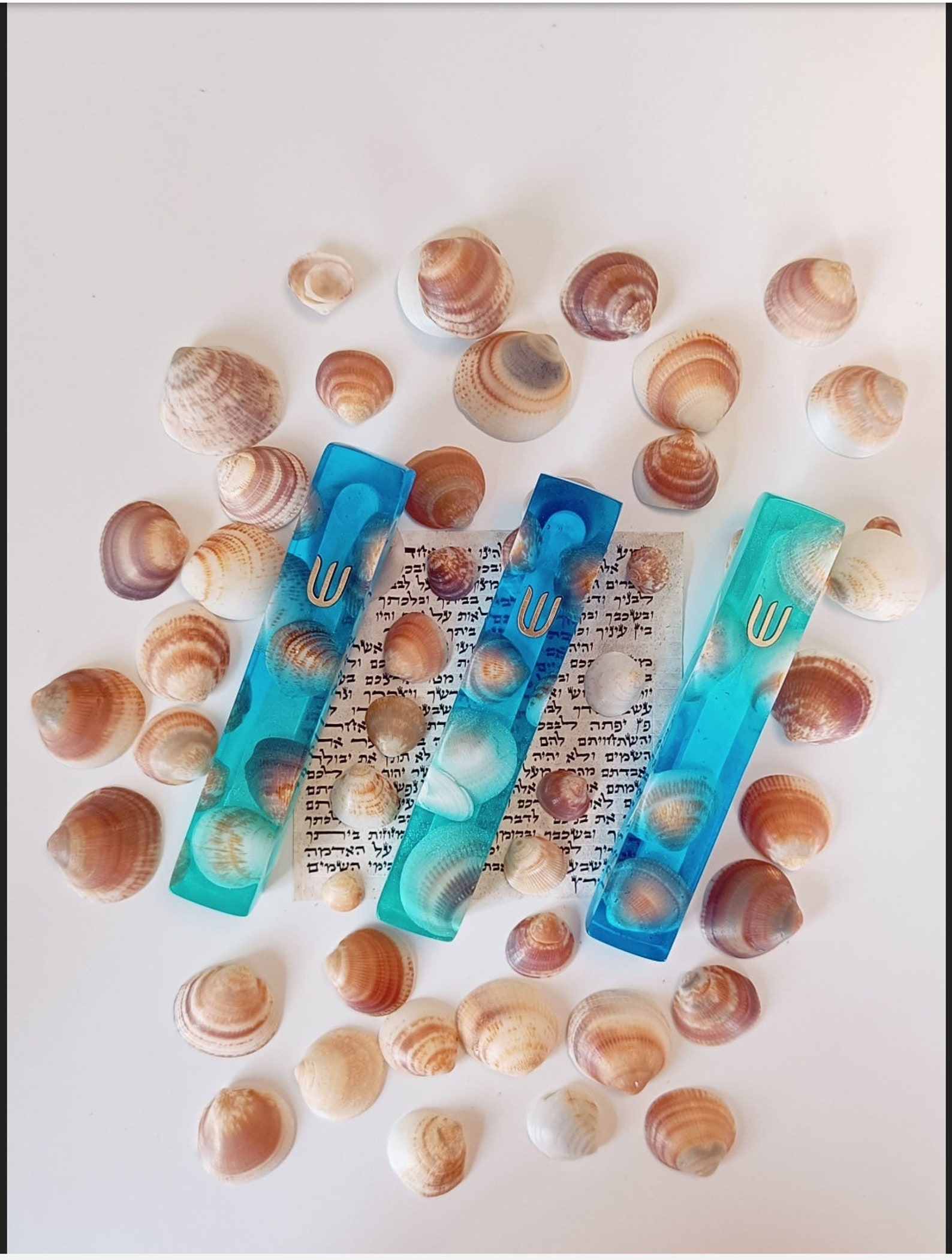 Handmade Seashell and Epoxy Mezuzah Case. Housewarming Gift. One of a ...