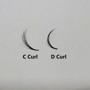 1000 Premade 8D, 9D, 10D Mega Volume Loose Fans 0.07 C D Curl. Handmade ...