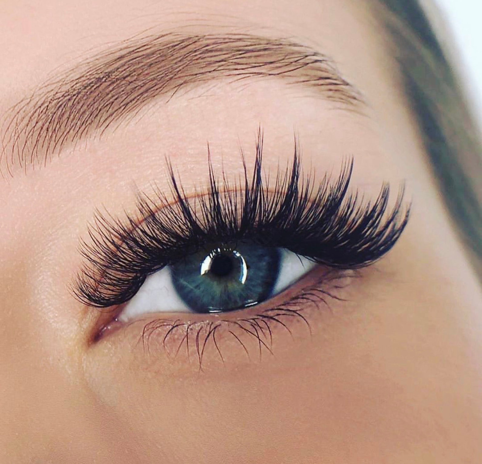 5D 7D Wispy Lashes 1000 Fans 0.07 Mixed Lengths Premade Volume - Etsy