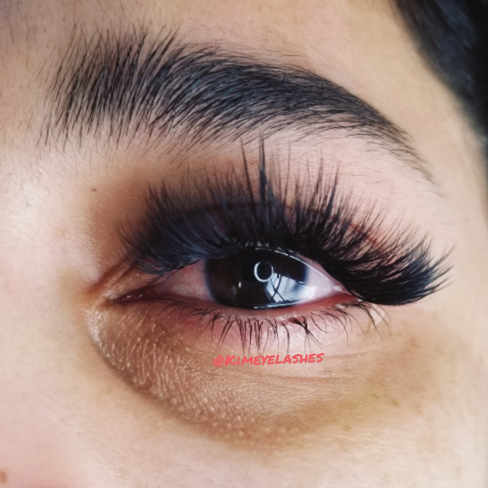 1000 Premade 8D 9D 10D Mega Volume Loose Fans 0.07 C D Curl. - Etsy