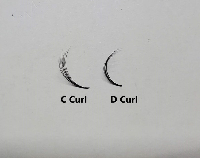 1000 Premade Volume Fans 10D 9D 8D 7D 6D 5D 4D Lashes Mink .07 - Etsy