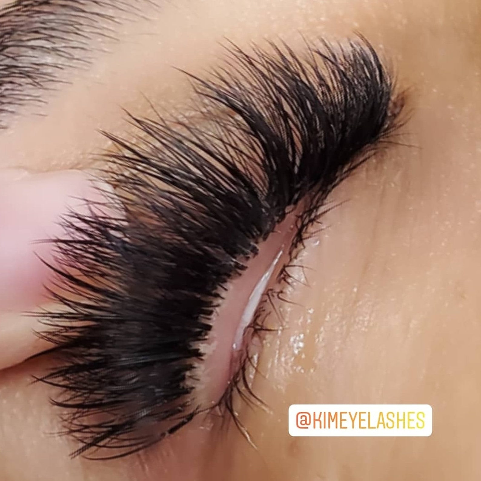 1000 Premade 8D 9D 10D Mega Volume Loose Fans 0.07 C D Curl. | Etsy