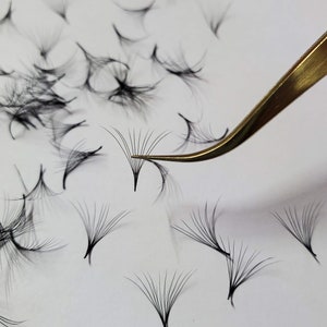 1000 Premade Fans 4D, 5D, 6D, 7D Mega Volume Loose Fans C, D Curl 0.07 ...