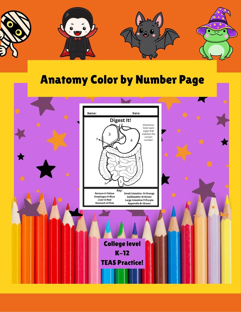 Anatomy Coloring Page: Digestive System - Medical/nursing Student ...