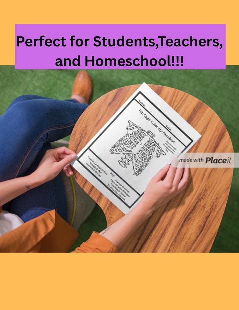 Rib Cage Anatomy Coloring Page: Medical Nursing Study (digital Download ...