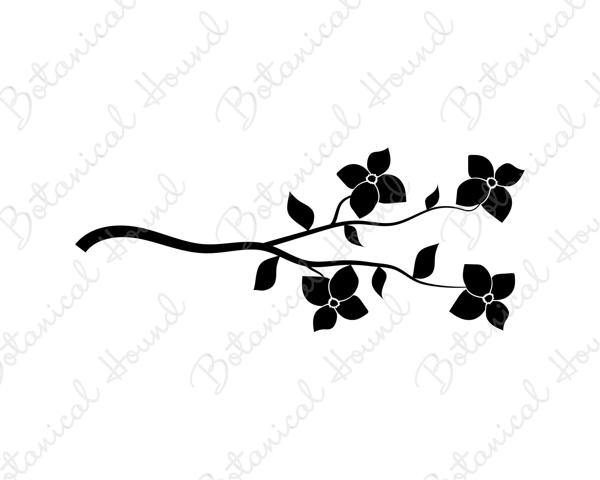 Dogwood Flowers on Branch SVG Flowers on Branch SVG Flowers SVG Spring ...