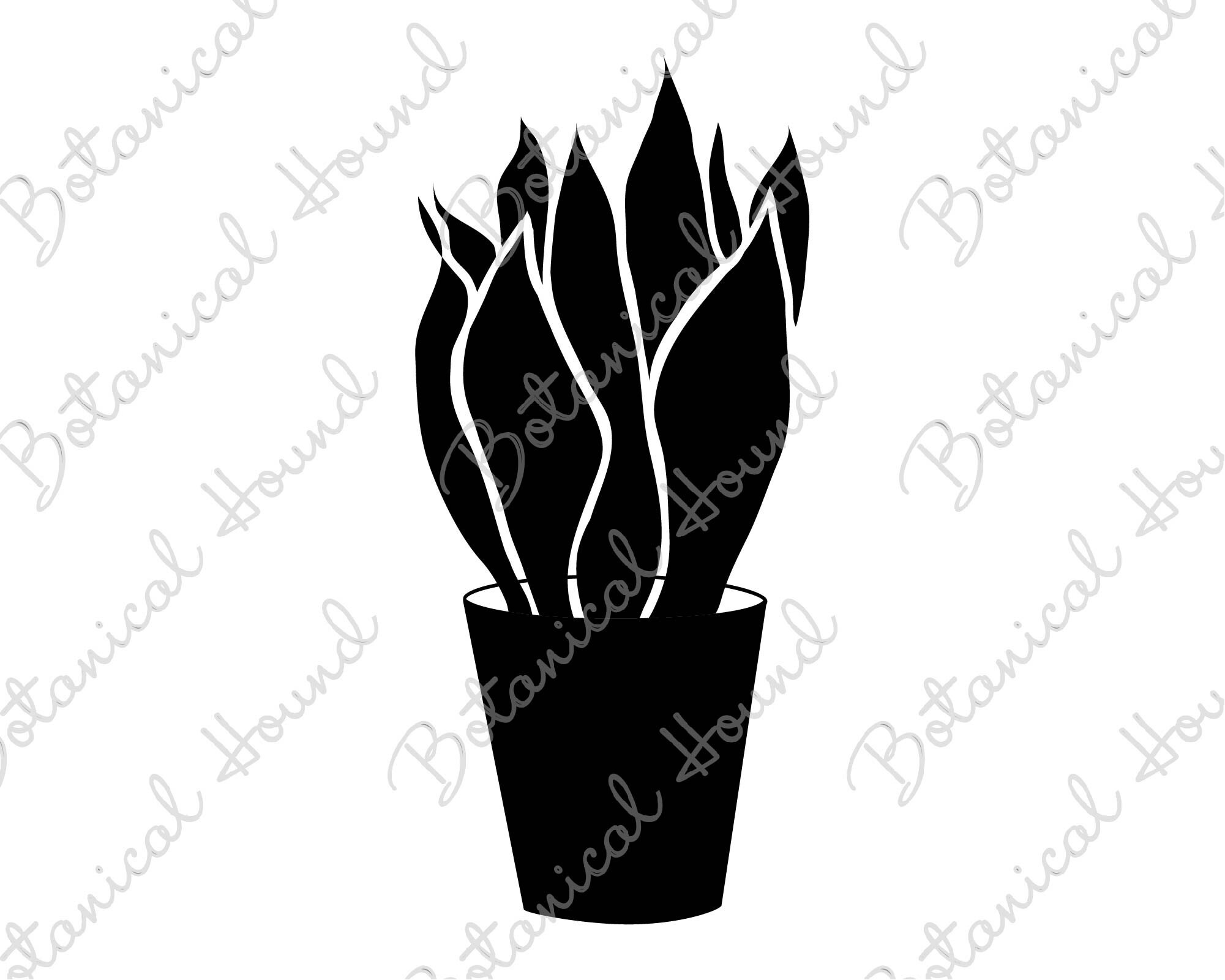 Snake Plant SVG Cut File for Cricut and Silhouette Sansevieria SVG - Etsy
