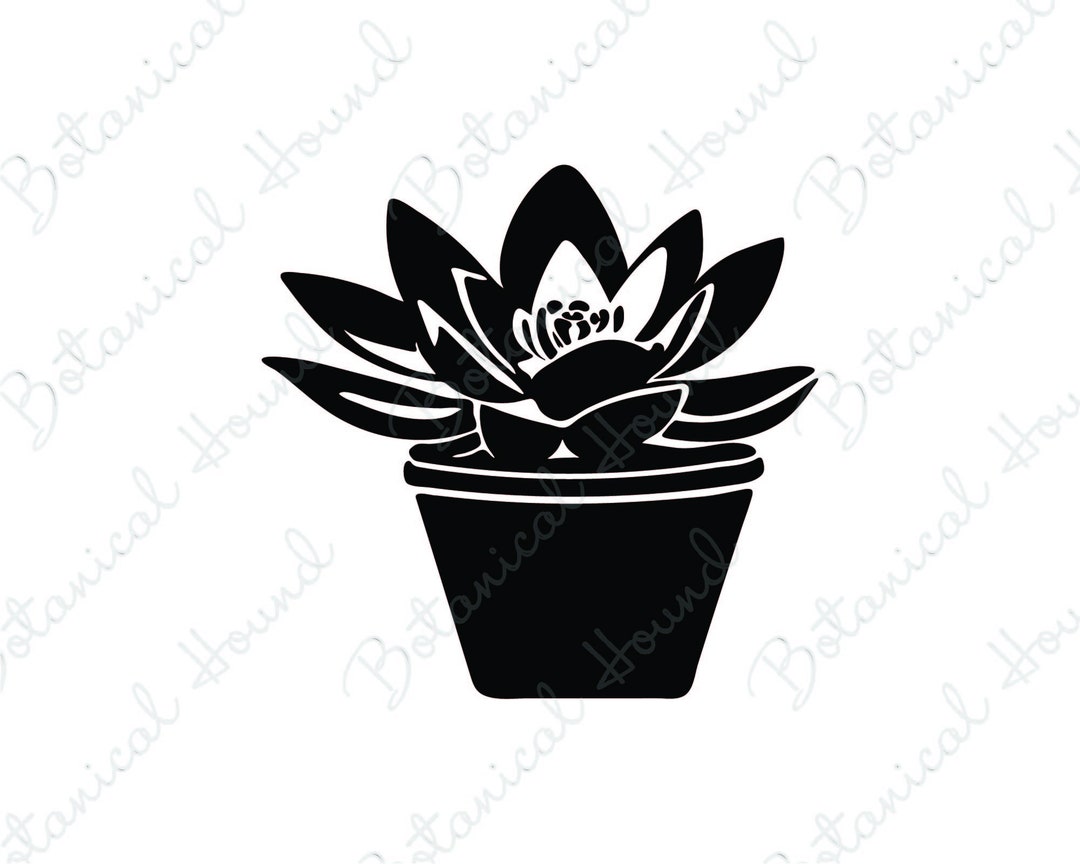 Potted Succulent SVG Cut File for Cricut and Silhouette - Etsy