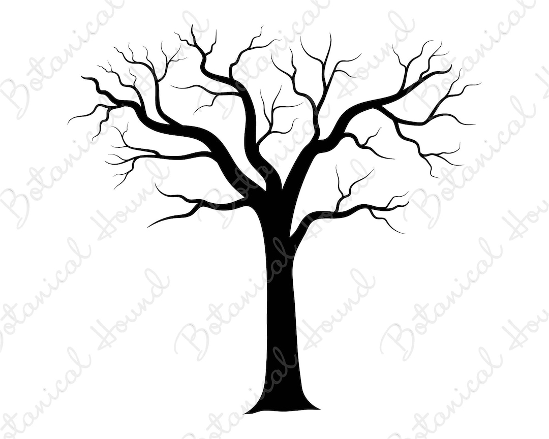 Bare Tree SVG | Tree SVG | Fall Foliage SVG | Fall Theme Svg ...