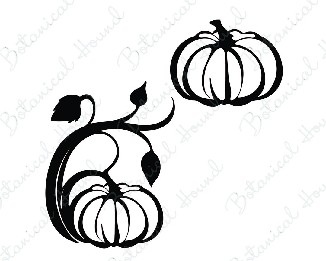 Pumpkin on Vine SVG Bundle Cutting Files for Cricut and Silhouette - Etsy