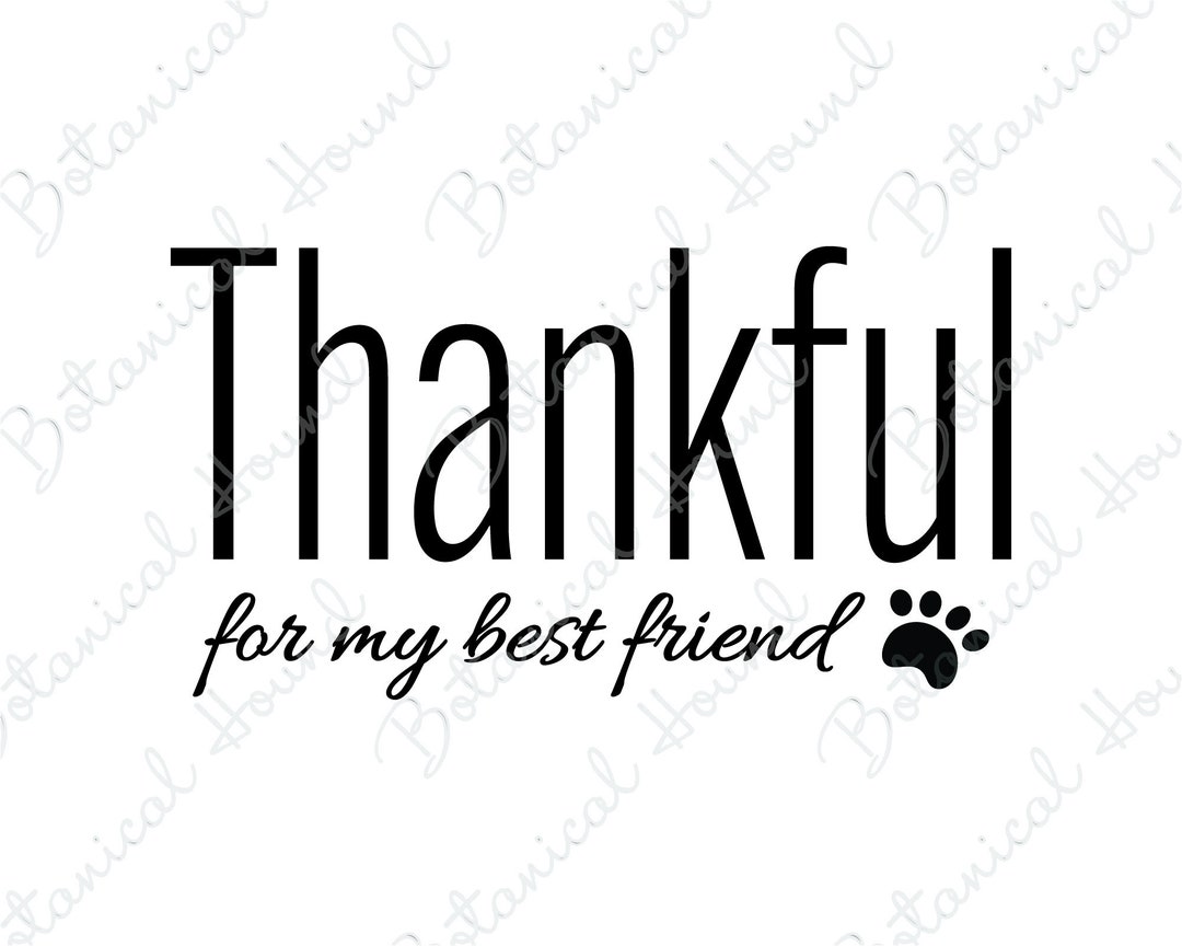 Thankful for My Best Friend Dog SVG | Best Friend Dog Lover's Sign Cut ...