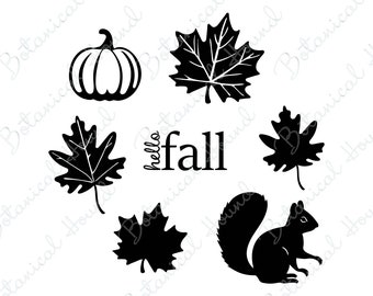 Squirrel SVG Animal SVG Squirrel Silhouette SVG Cut - Etsy
