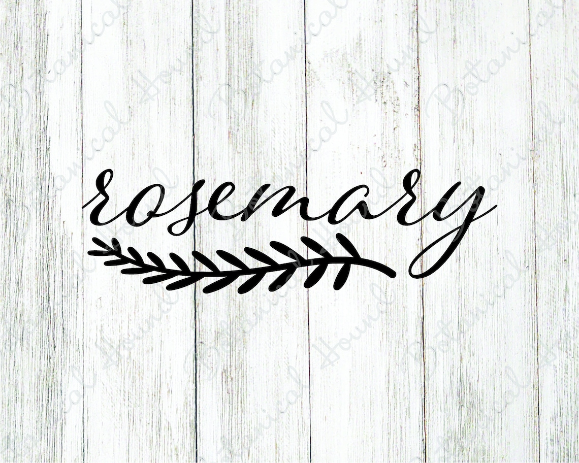 Rosemary SVG Cut File Design for Cricut and Silhouette - Etsy