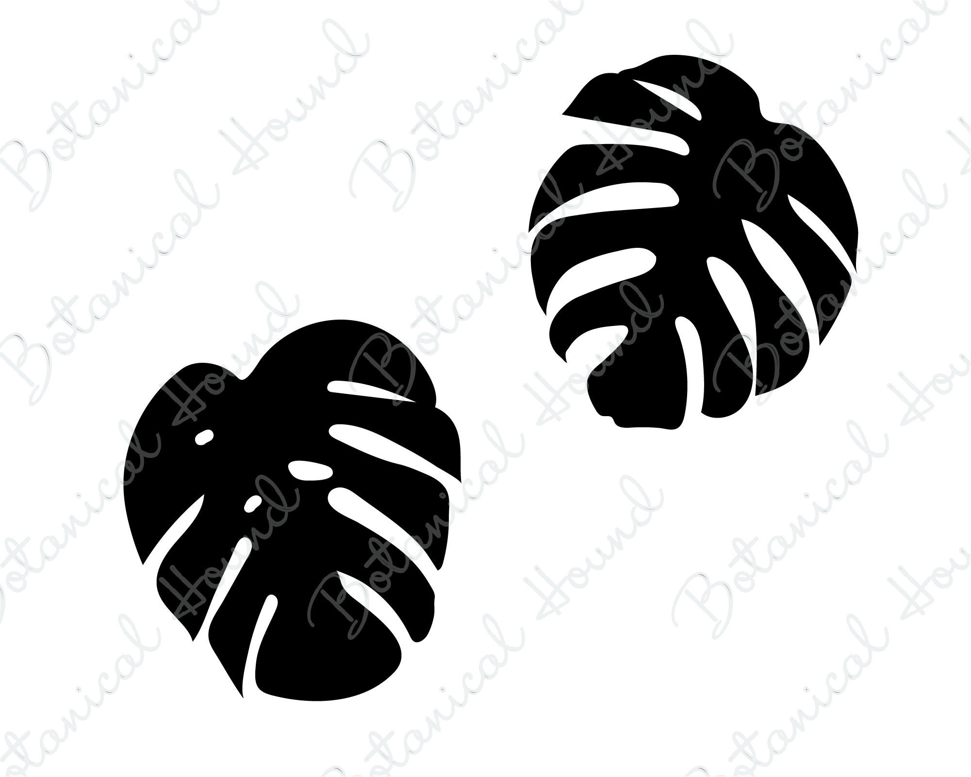 Monstera Leaf SVG Bundle Cut File for Cricut and Silhouette - Etsy