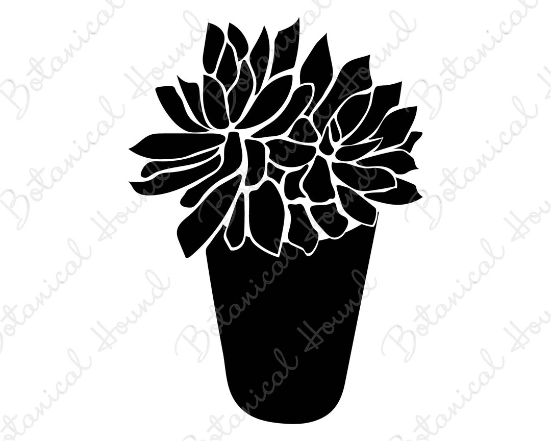 Succulent Tropical Plant SVG Cut File for Cricut and Silhouette - Etsy