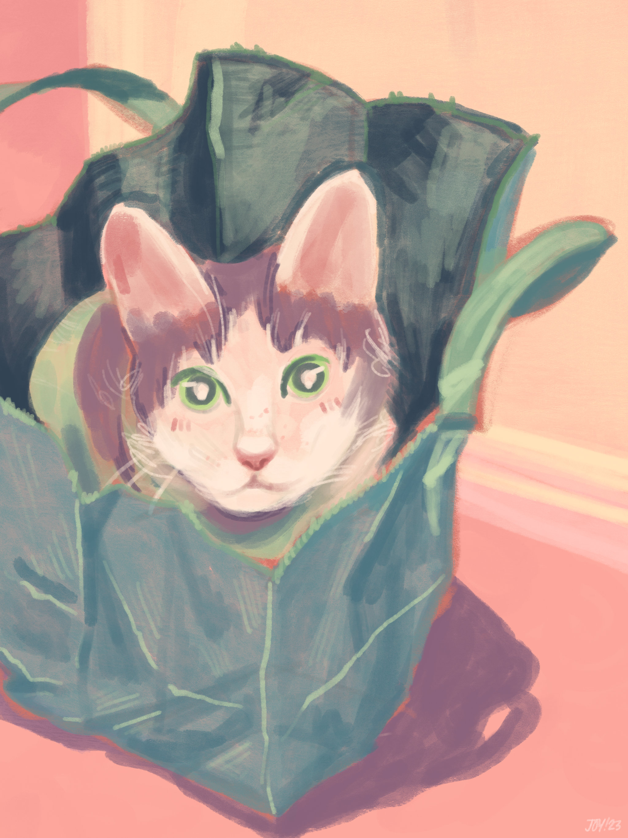 MEOW I'm a Bag Cat in a Bag! Cat Artwork Painting Cute Kitty - Etsy