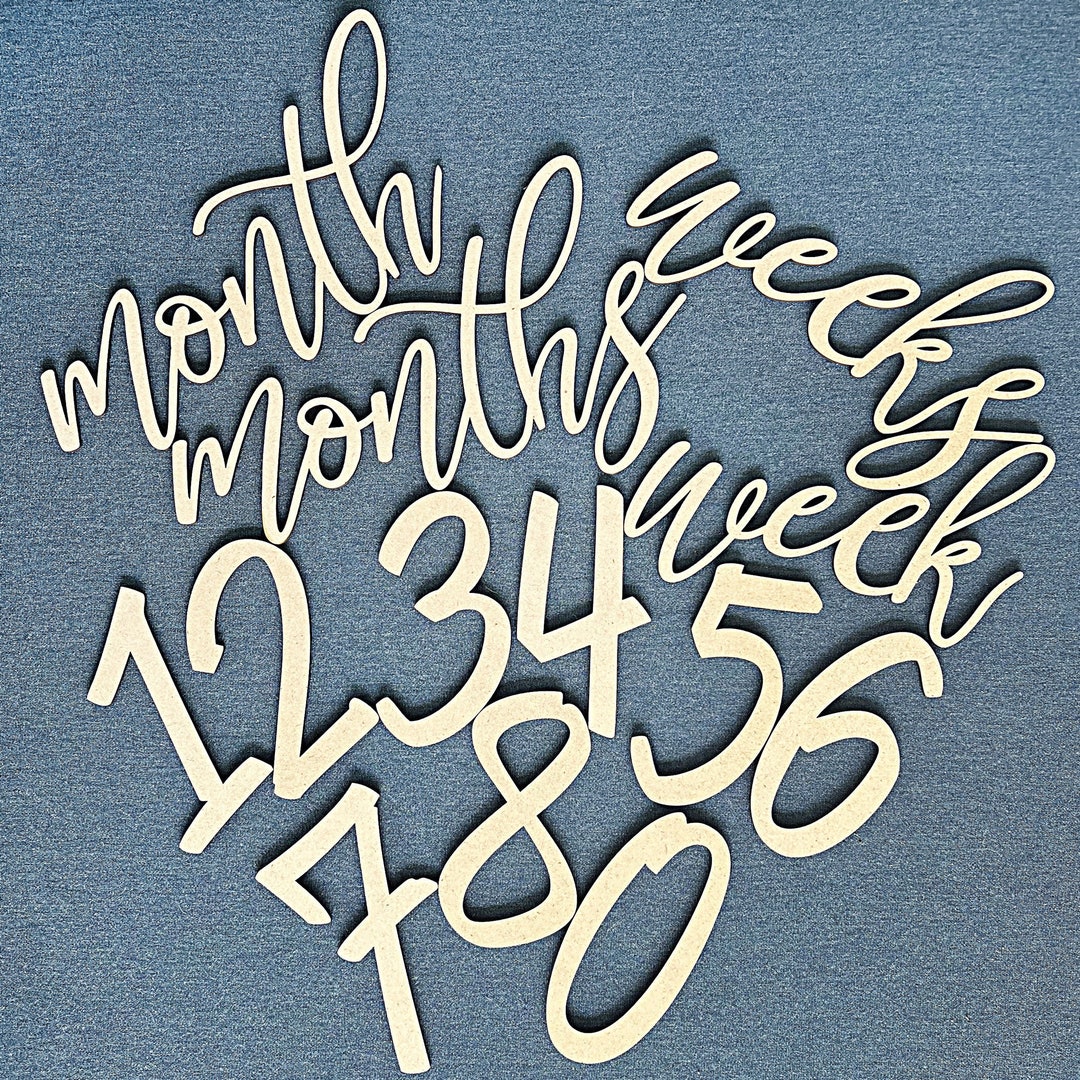 Cutout Numbers and Months Milestone Baby Photo Prop Pregnant Milestone ...