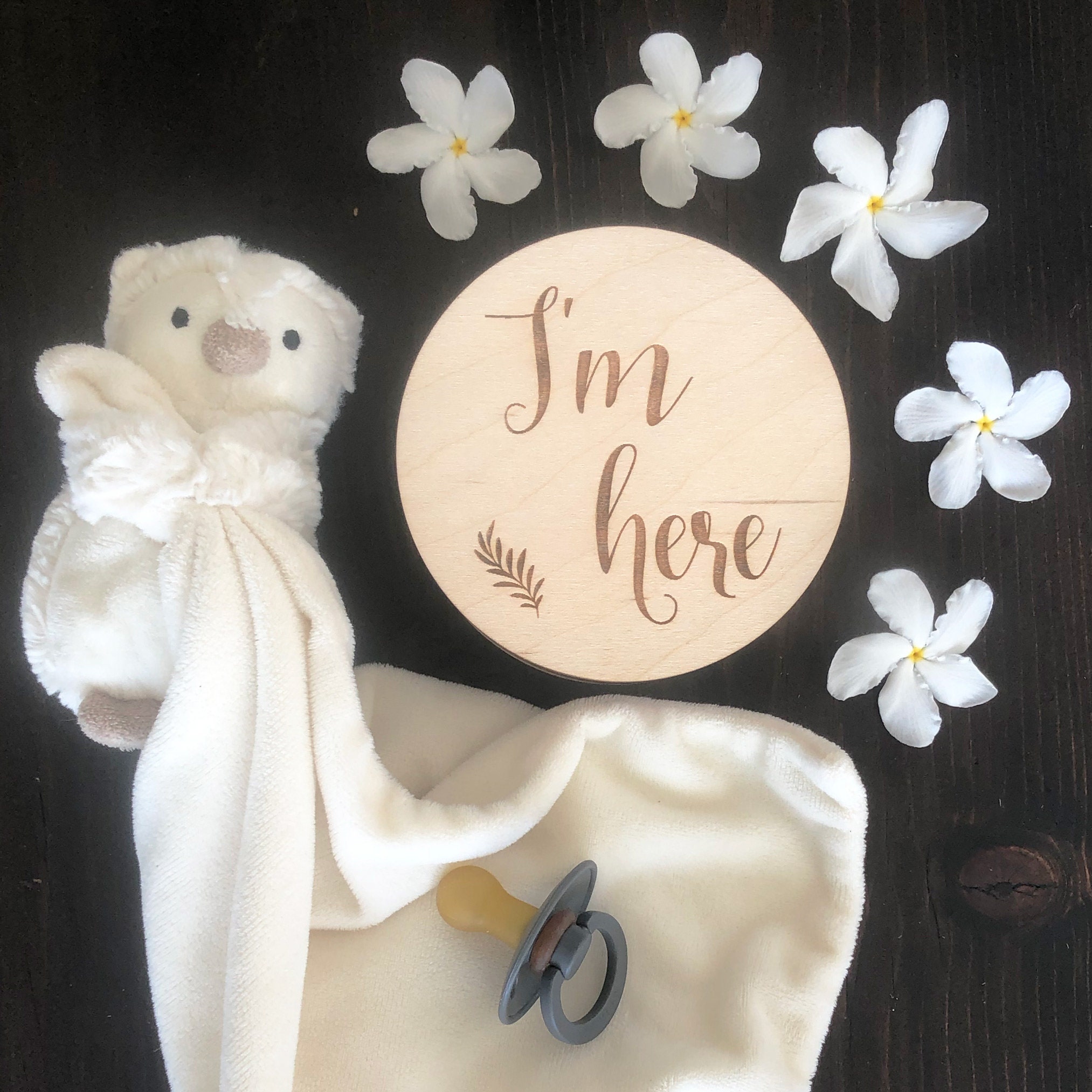 Baby Milestone Signs Monthly Milestone Markers Set of 14 - Etsy