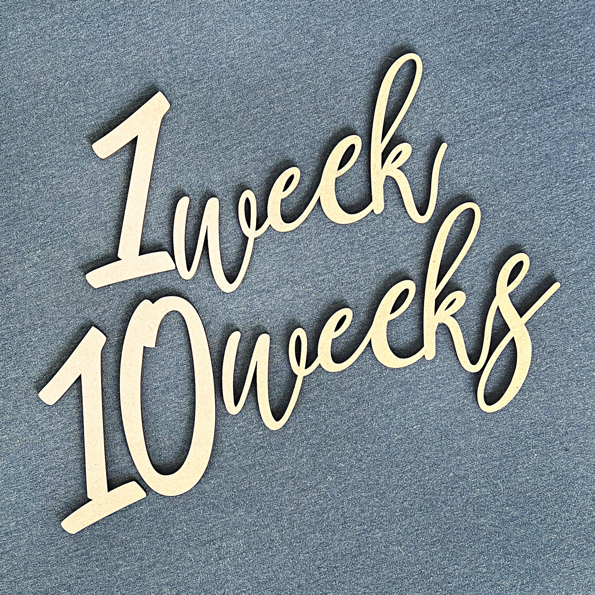 Cutout Numbers and Months Milestone Baby Photo Prop Pregnant Milestone ...