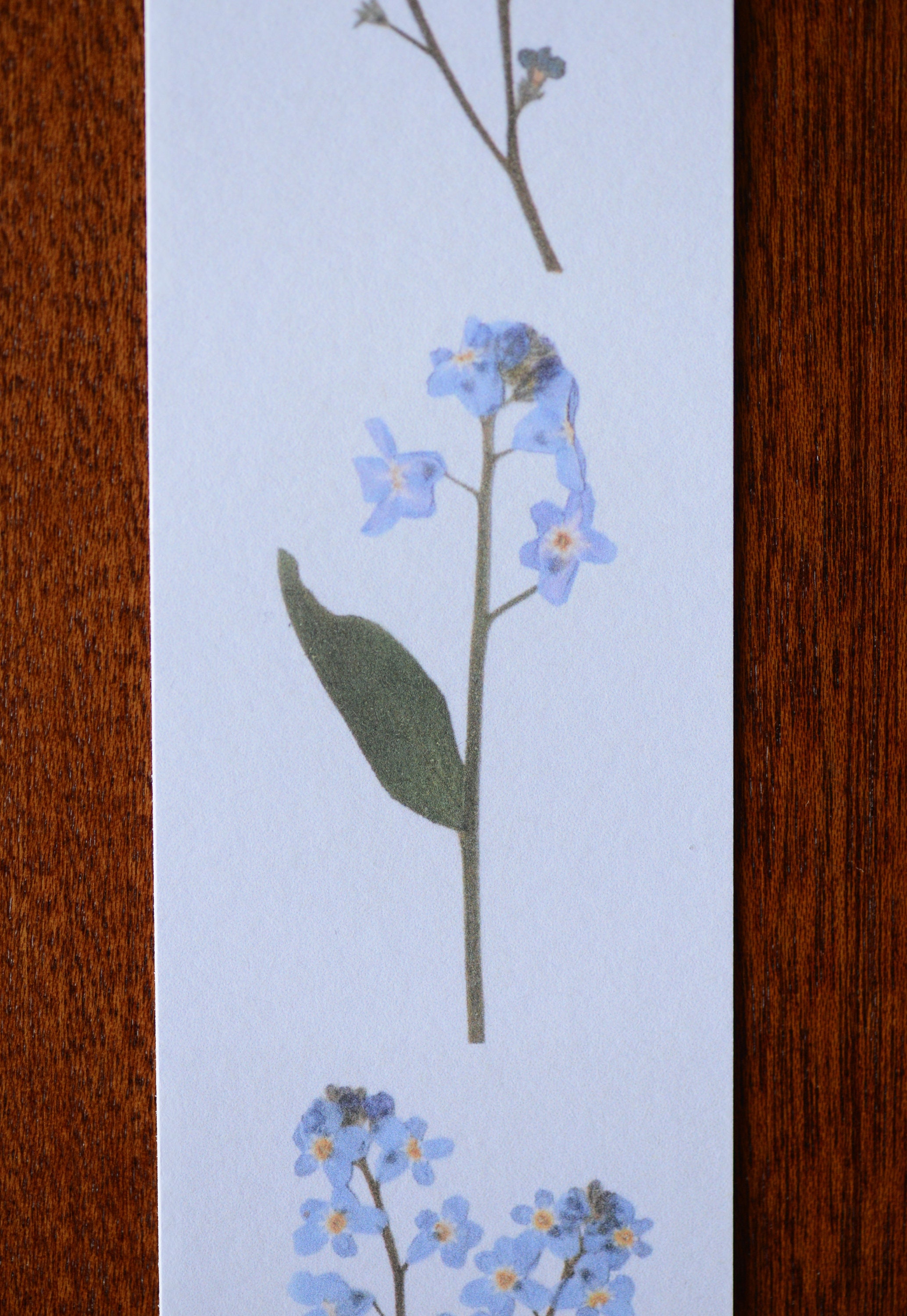 2/3/4x Bookmarks Forget Me Not Flower Print Picture Nature - Etsy