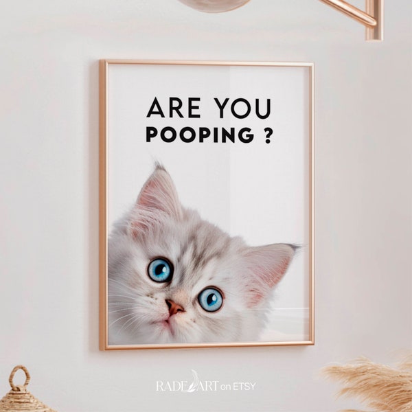 Are You Pooping Cat Poster - Etsy