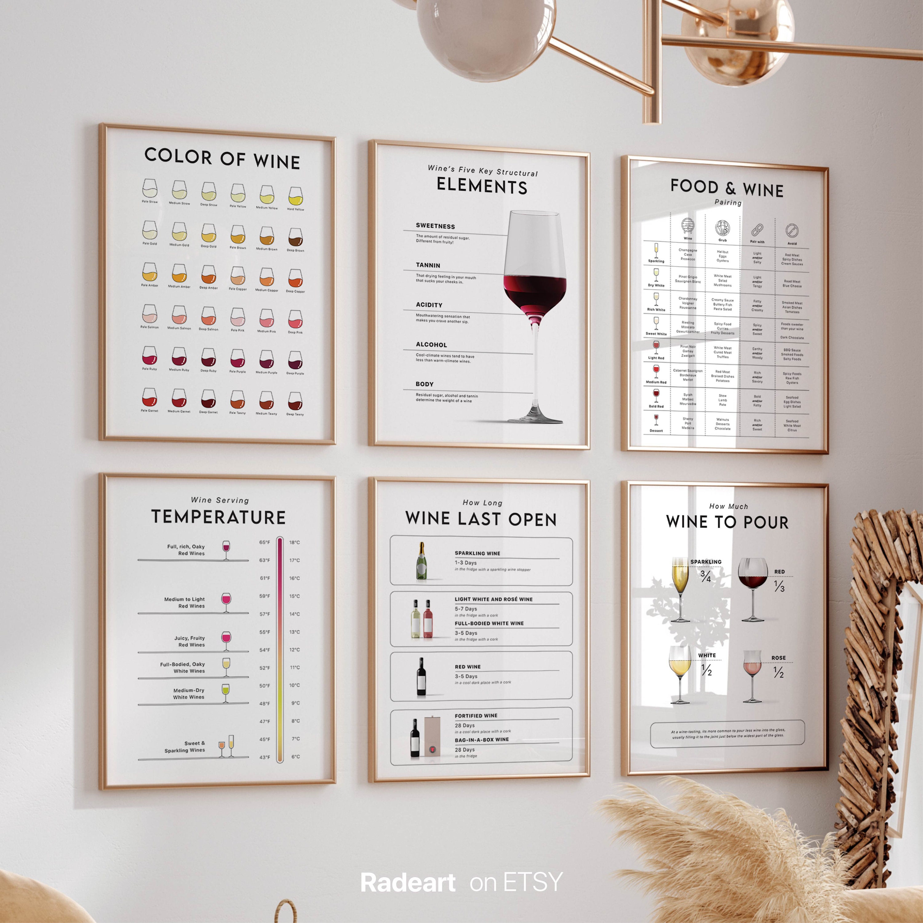 Wine Infographic Poster