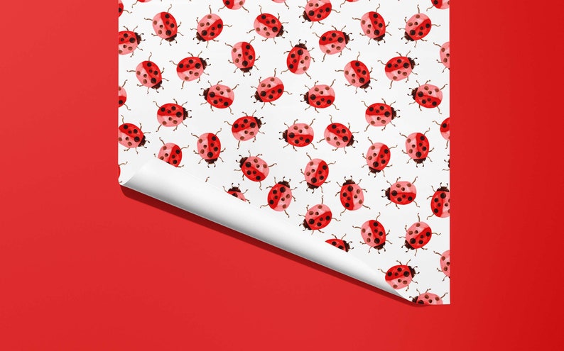 Ladybird / Ladybug Wrapping Paper Hand Illustrated Gift - Etsy