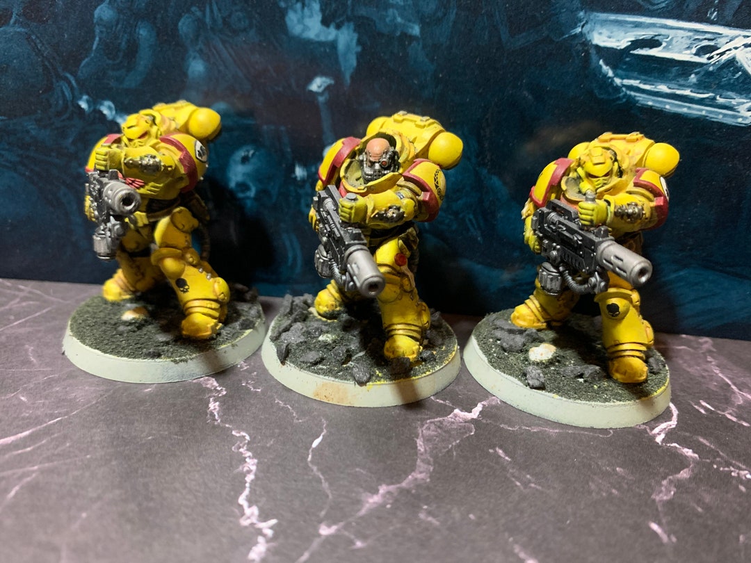 Wh40k Warhammer 40k Primaris Imperial Fist Eradicator Squad Indomitus ...