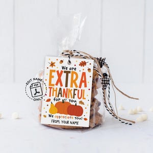 Thanksgiving Gift Tags Printable, We Are Extra Thankful for You, Thank ...