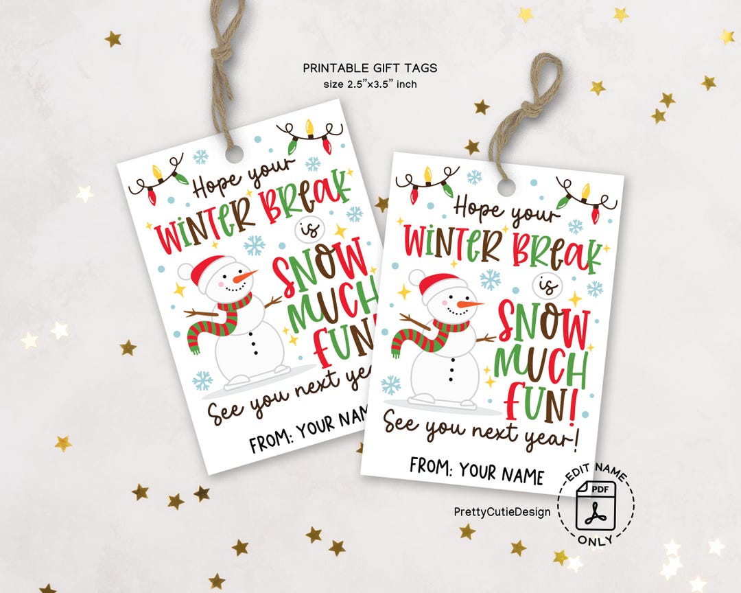 Teacher Christmas Tags Printable Favor Tags, Snow Much Fun Tag, Funny ...