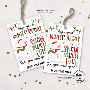 Teacher Christmas Tags Printable Favor Tags, Snow Much Fun Tag, Funny ...
