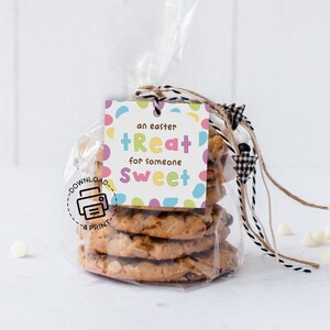 Easter Printable Gift Tags, Easter Treat for Someone Sweet Gift Tag ...