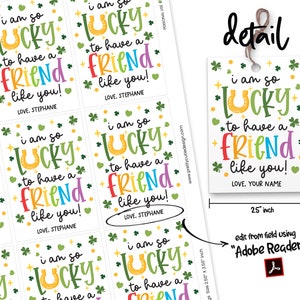 Happy St Patricks Day Printable Gift Tags, Lucky to Have You Friend St ...