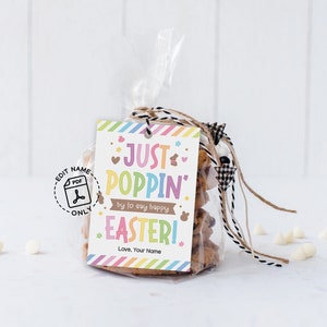 Teacher Easter Printable Gift Tags, Kids Easter Pop It Tags, School ...