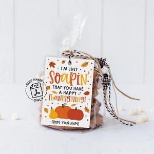 Printable Thanksgiving Gift Tags, Soapin You Have a Happy Thanksgiving ...