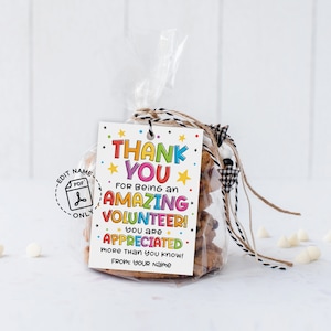 Volunteer Appreciation Gift Tag Printable, Amazing Volunteer Thank You ...