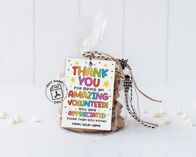 Volunteer Appreciation Gift Tags: Printable Thank You (PDF Pattern) - Etsy