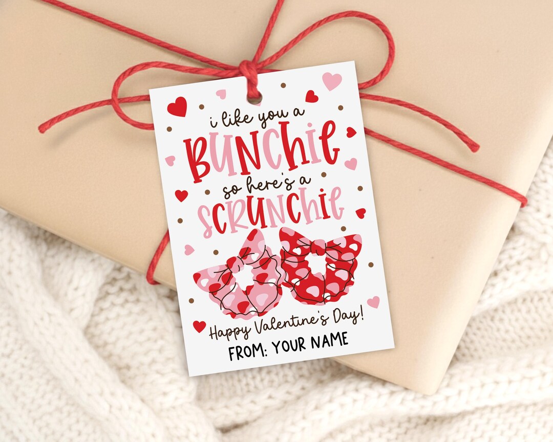 Scrunchie Valentine Gift Tag Printable, I Like You A Bunchie, Treat Bag ...