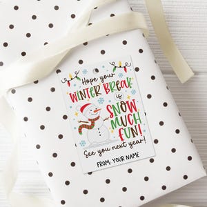Teacher Christmas Tags Printable Favor Tags, Snow Much Fun Tag, Funny ...