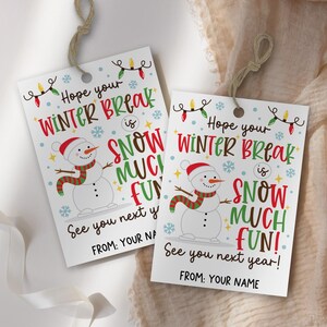 Teacher Christmas Tags Printable Favor Tags, Snow Much Fun Tag, Funny ...