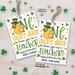 One Lucky Duck St Patricks Day Tag, Rubber Duck Tags, Happy St Patricks ...