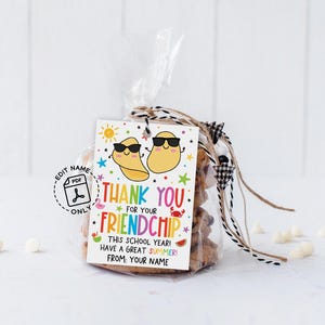 Thank You for Your Friendchip Gift Tags, Last Day of School Printable ...