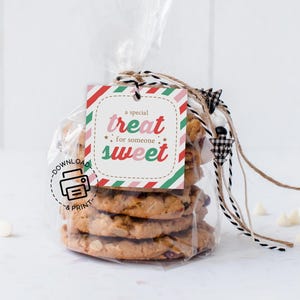 Christmas Cookie Gift Tags, Printable Square Favor Tags, A Special ...