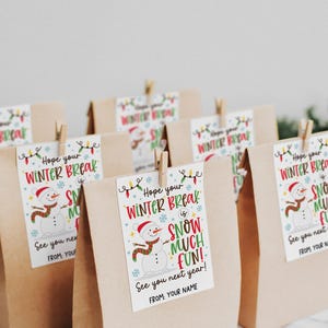 Teacher Christmas Tags Printable Favor Tags, Snow Much Fun Tag, Funny ...