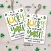 Happy St Patricks Day Printable Gift Tags, Lucky to Work With You Co ...