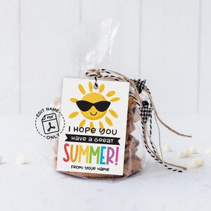 I Hope You Have a Great Summer Gift Tags, End of School Year Printable ...