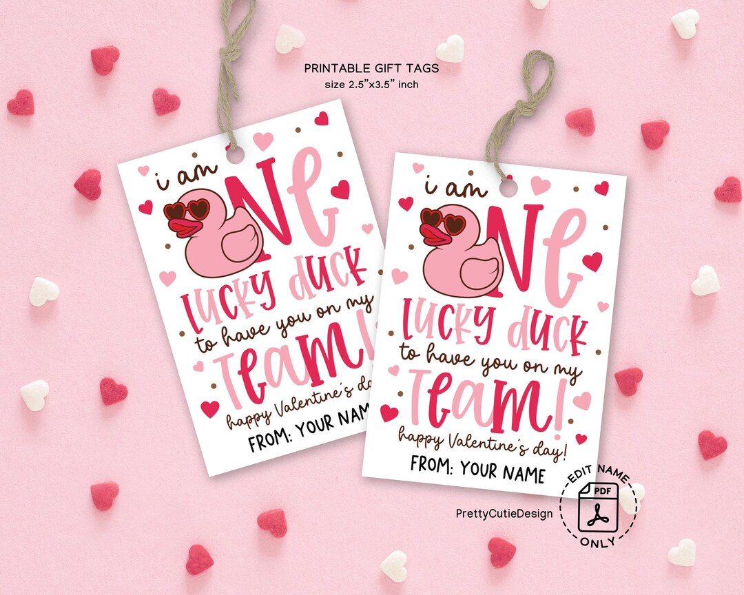 One Lucky Duck Valentine Tag, Rubber Duck Tag, Duck Party Favor Tags ...