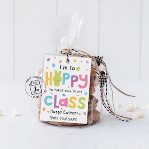 Easter Bunny Favor Tags Printable, Happy Easter Gift Tags, School ...