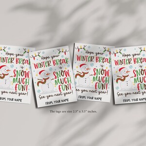 Teacher Christmas Tags Printable Favor Tags, Snow Much Fun Tag, Funny ...