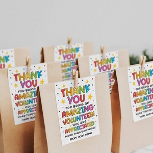 Volunteer Appreciation Gift Tag Printable, Amazing Volunteer Thank You ...